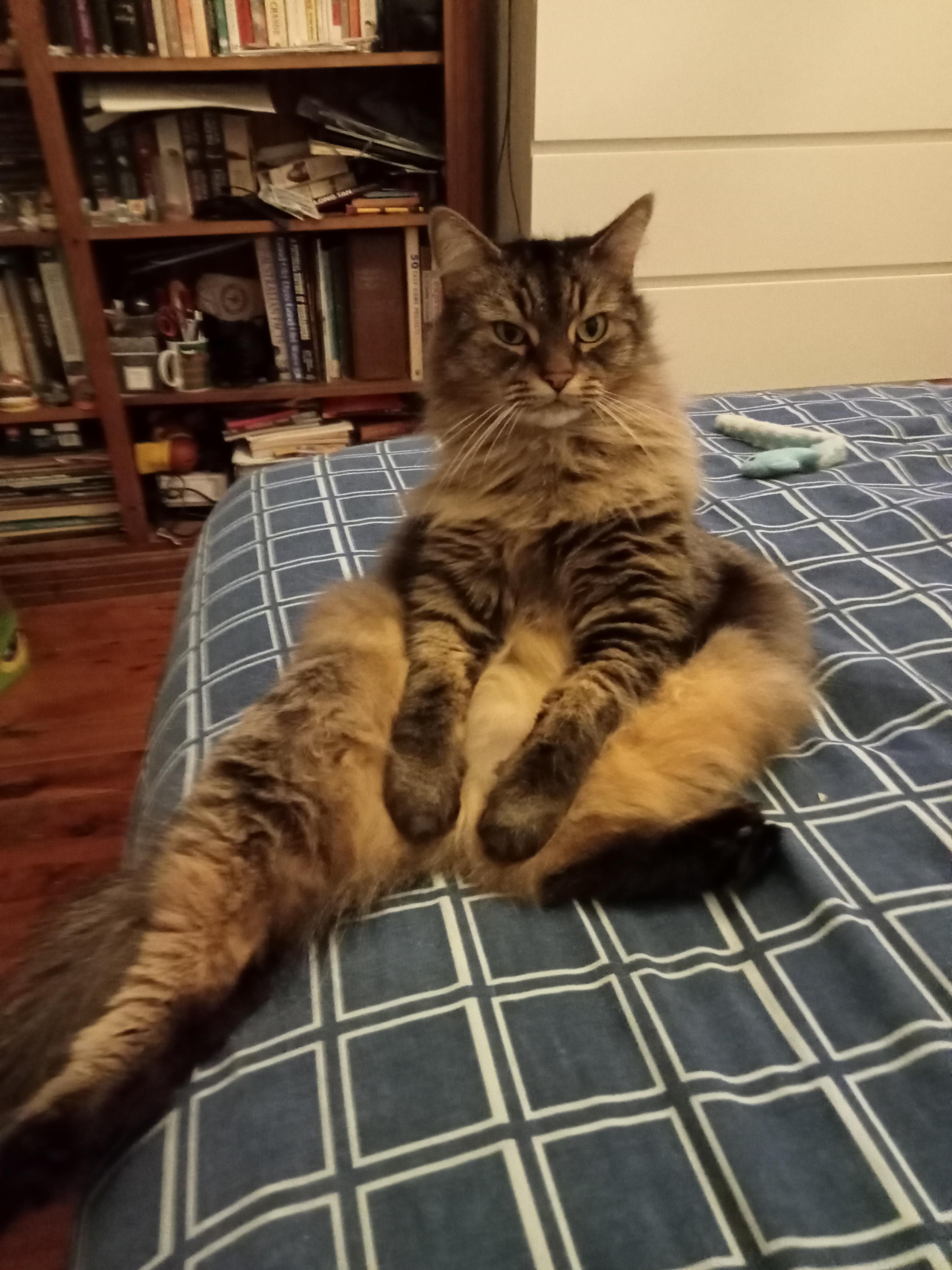 Just chilling.... | Scrolller