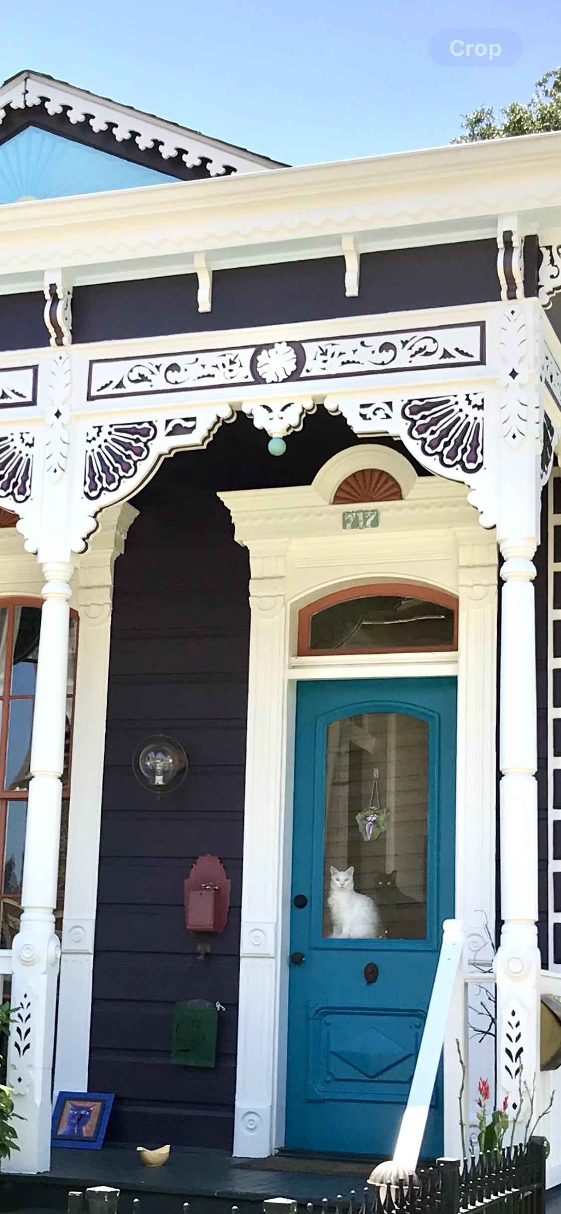 My boys should be models | Scrolller