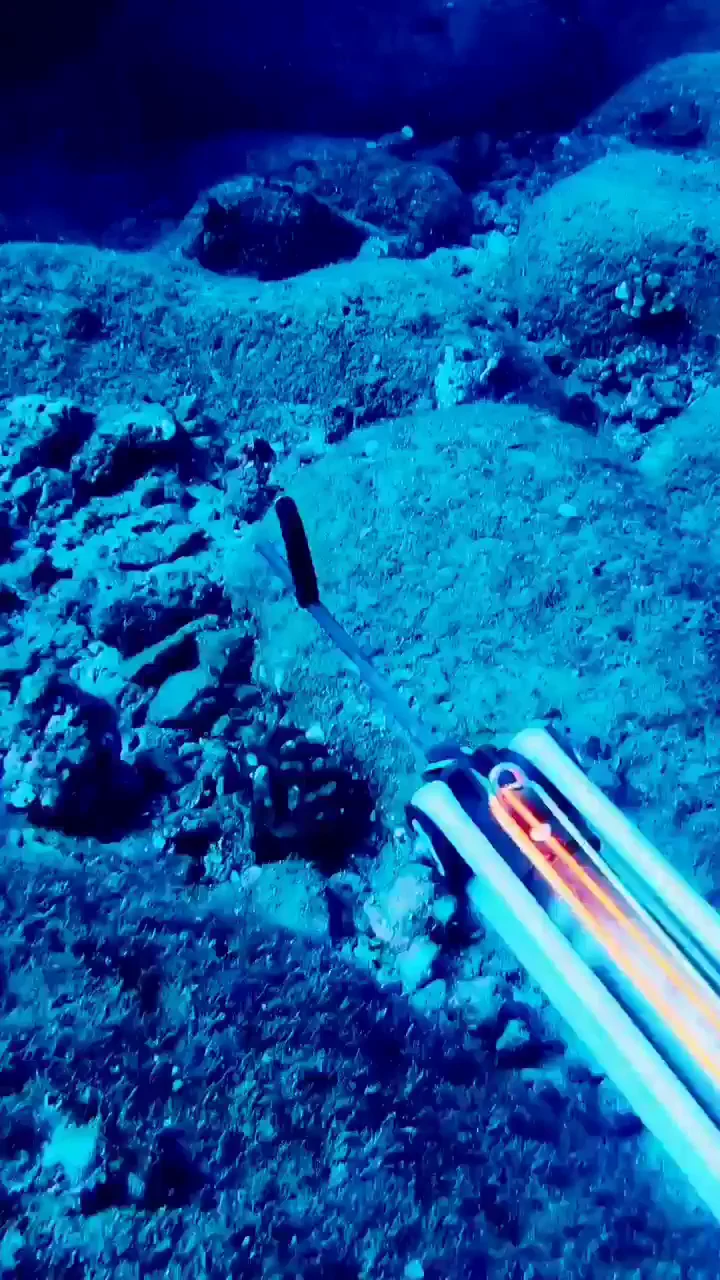 Mastering Spearfishing with Effortless Precision! | Scrolller