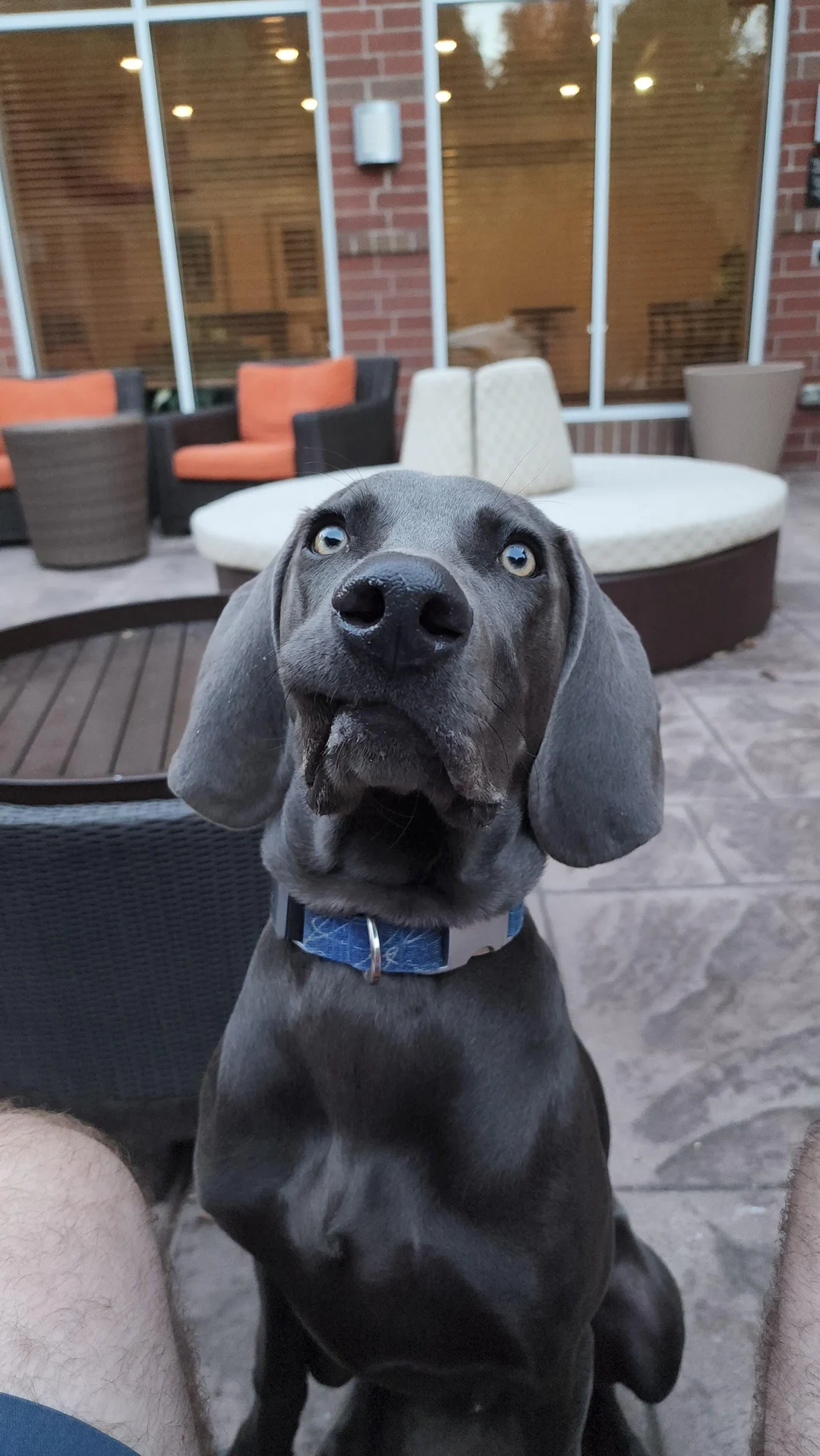 Our derpy Wally | Scrolller