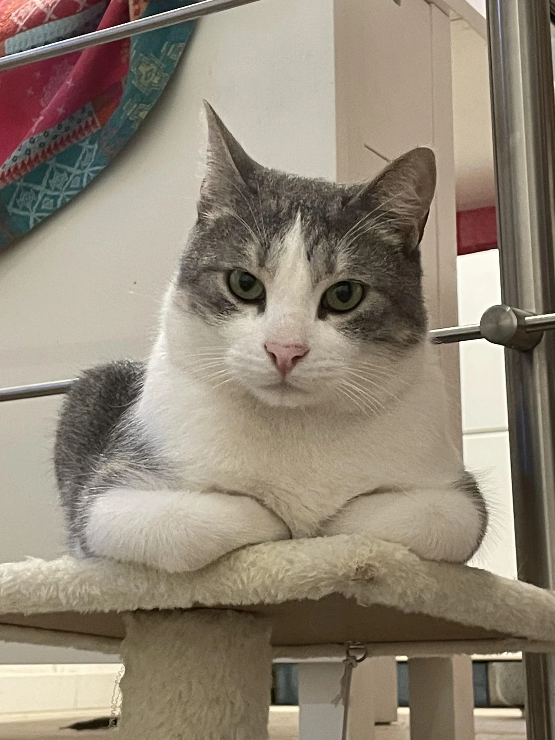 Judging me | Scrolller