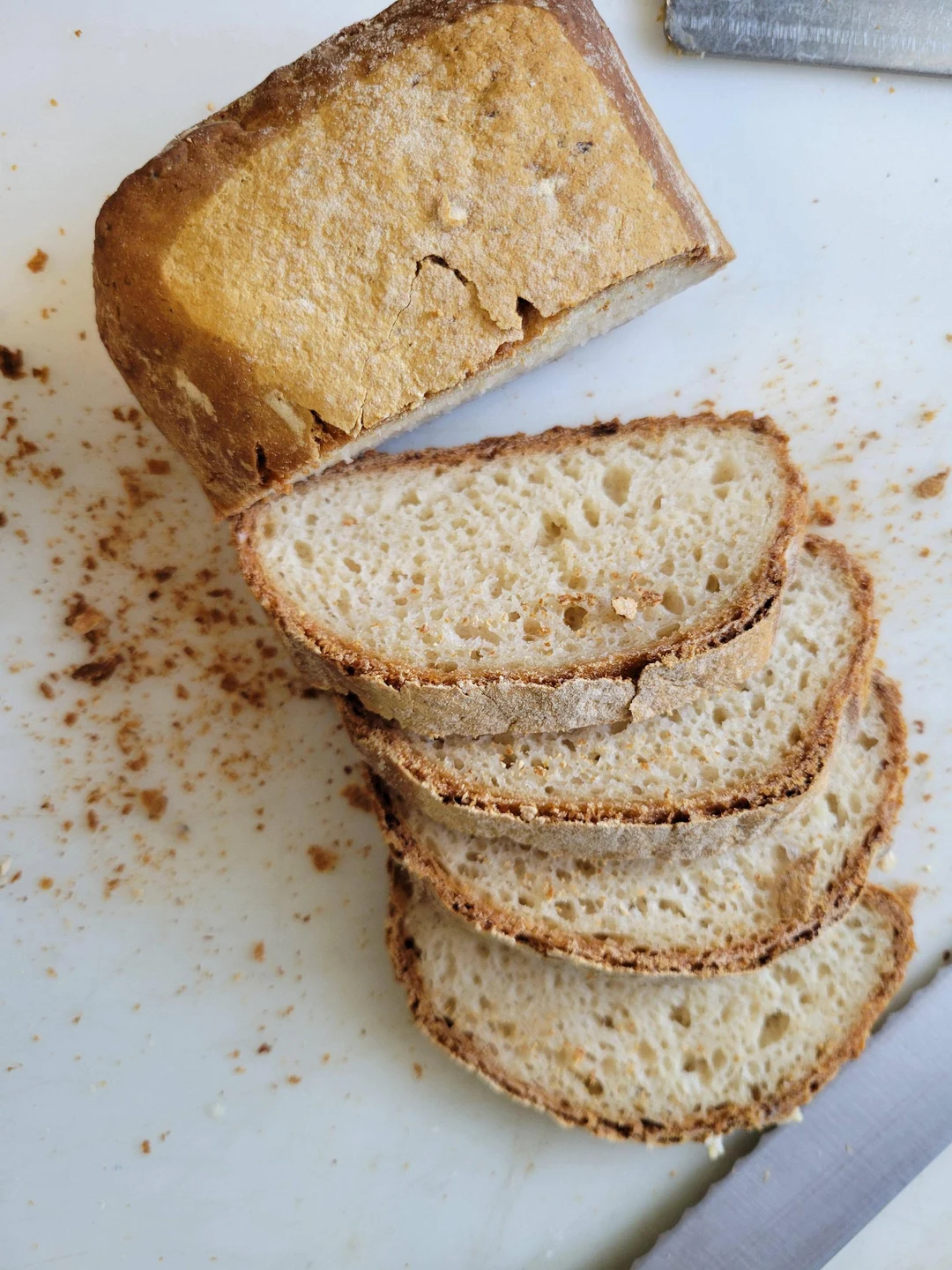 Gluten free sourdough | Scrolller
