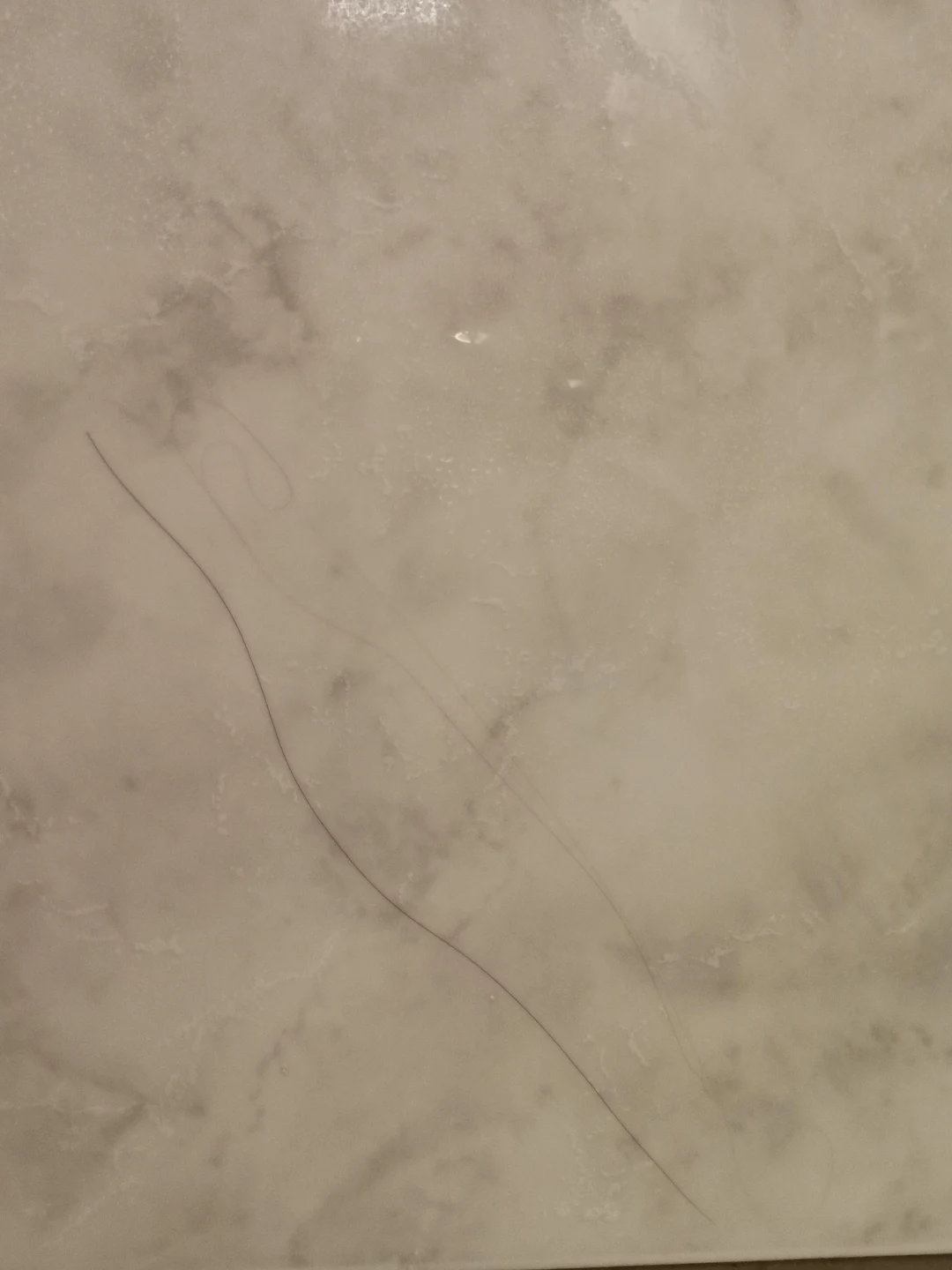 Mutated hair? | Scrolller