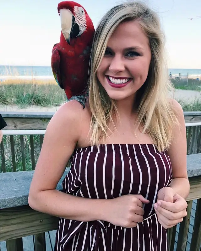 Parrot's Love Shoulders | Scrolller