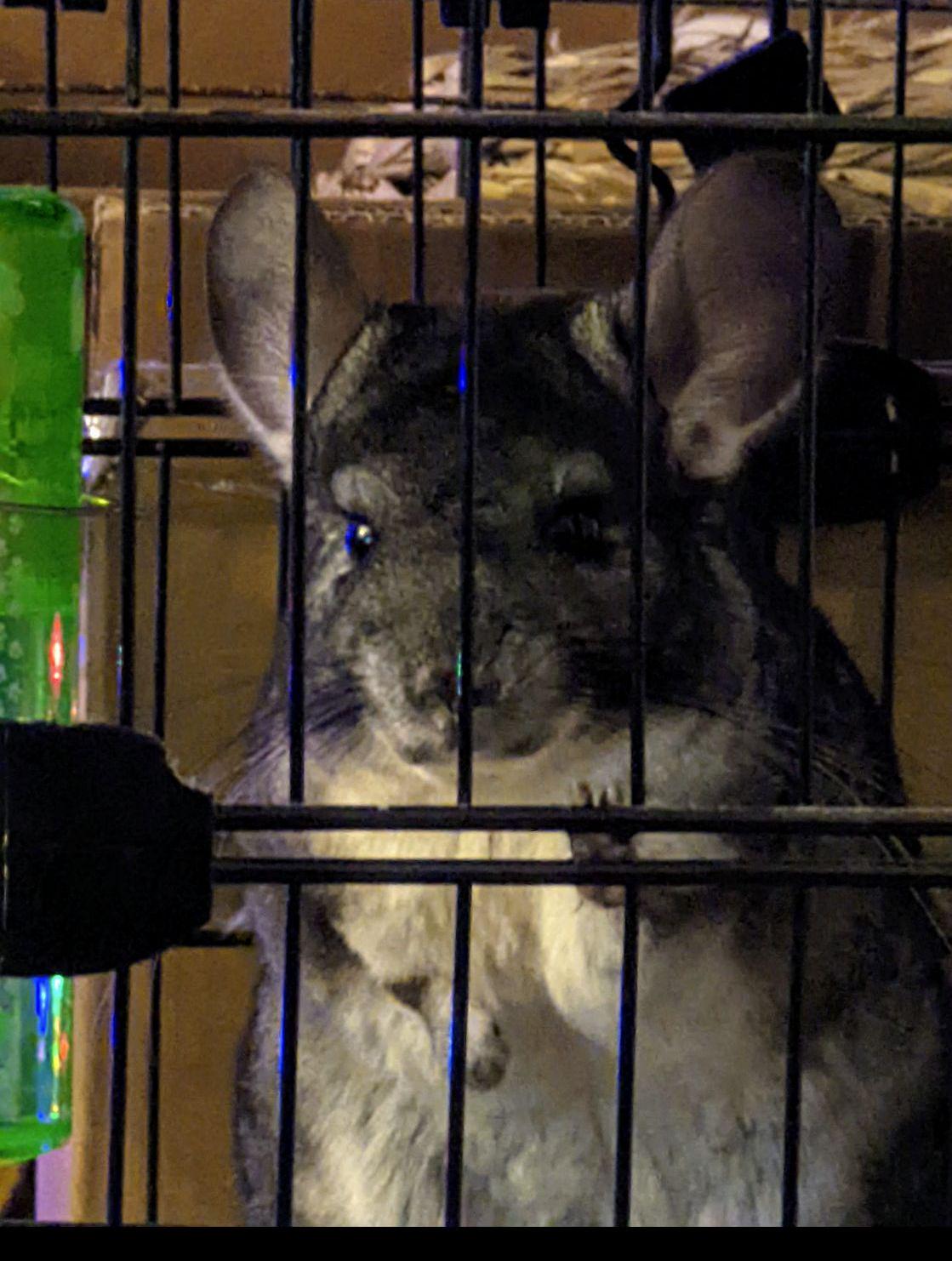 She's plotting my demise. | Scrolller