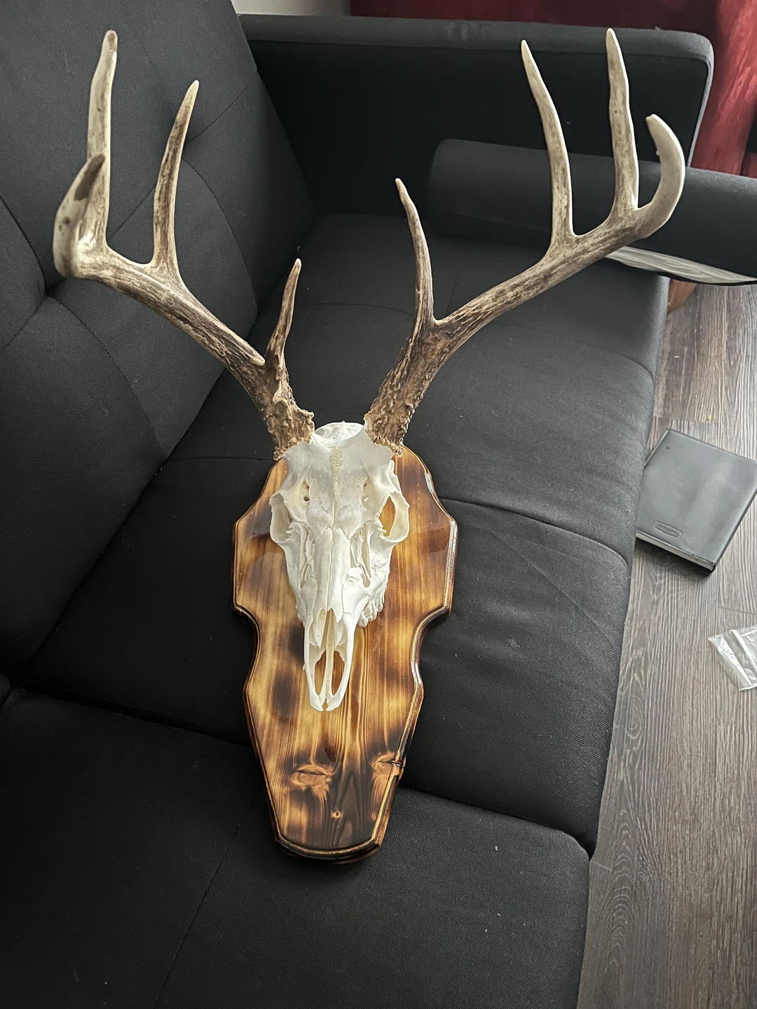 First mount | Scrolller