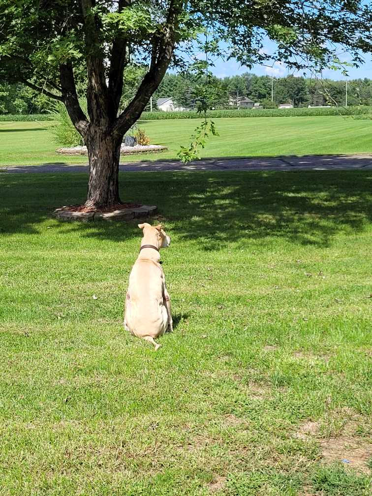 Sad story, kinda joking, kinda ranting. Picture seemed appropriate. | Scrolller