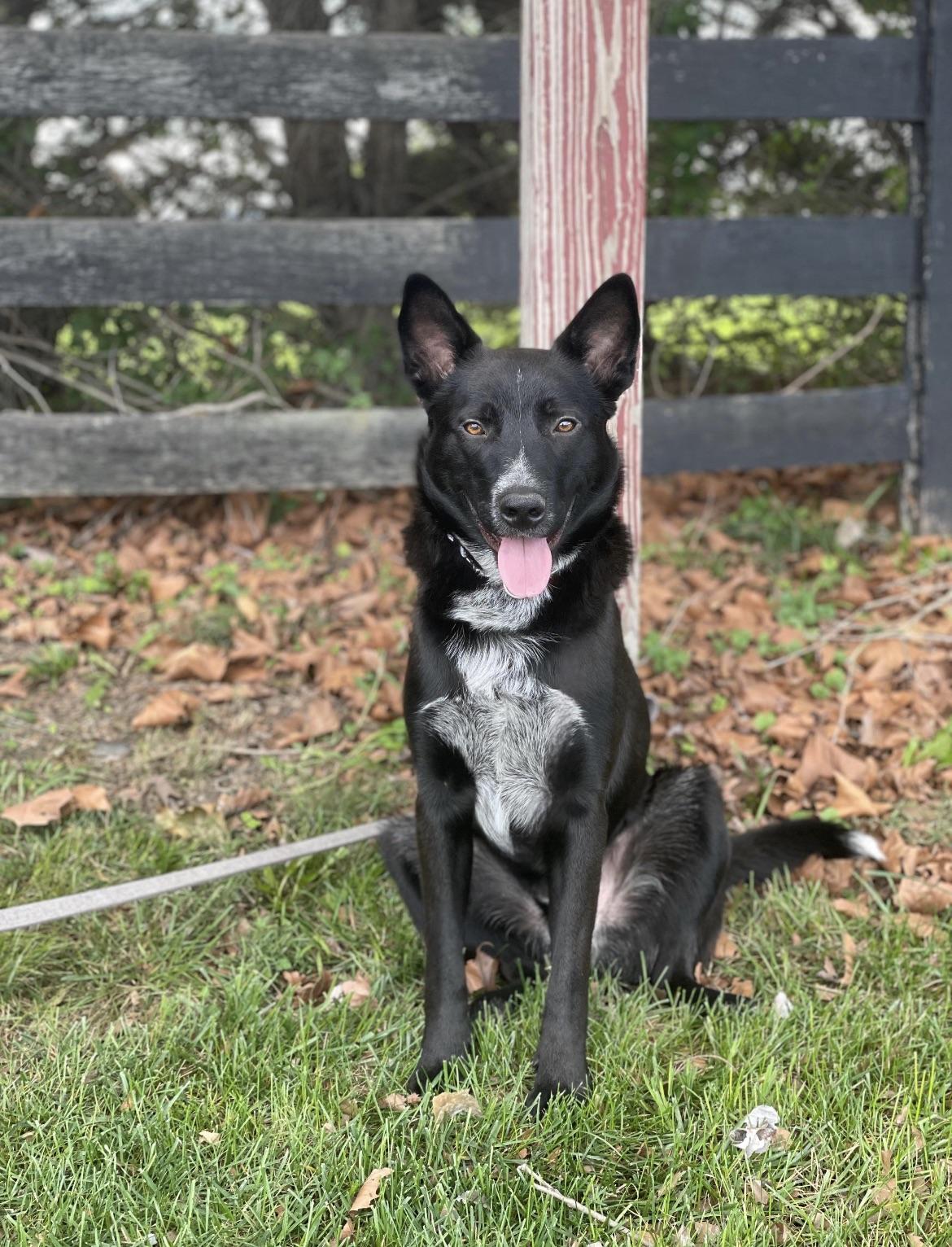 “Dating App” Photo Request | Scrolller