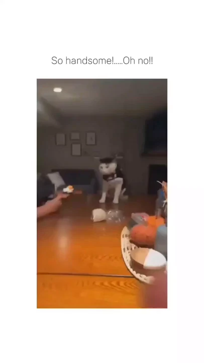 So Handsome! | Scrolller