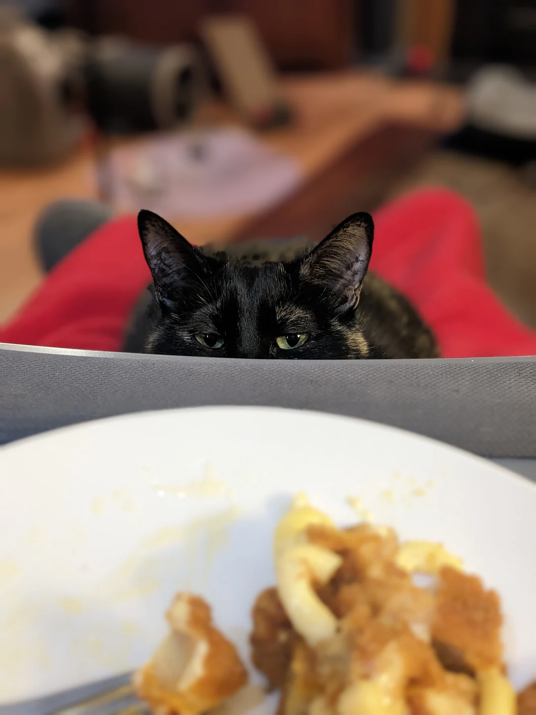 Smudge Waiting | Scrolller