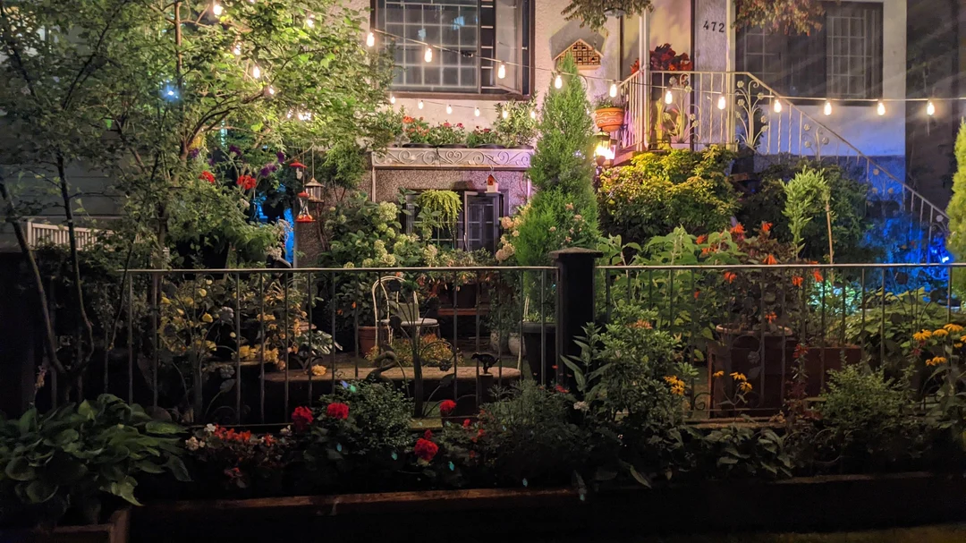 My neighbour's front yard. | Scrolller