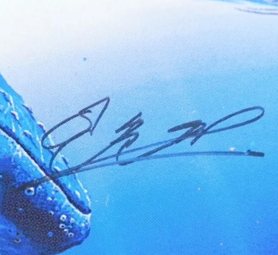 Help identifying a potential Korean autograph | Scrolller