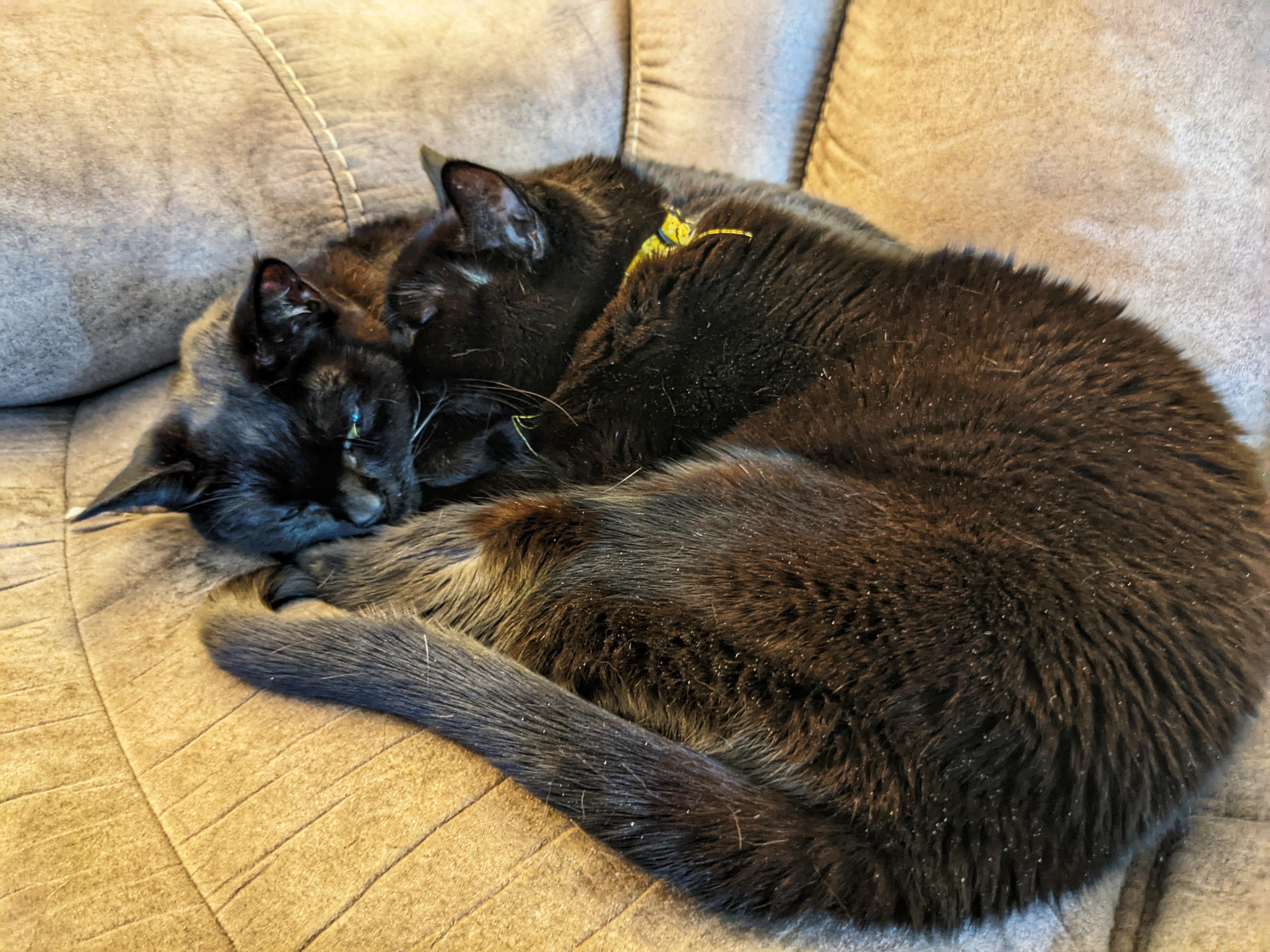 look into the void | Scrolller