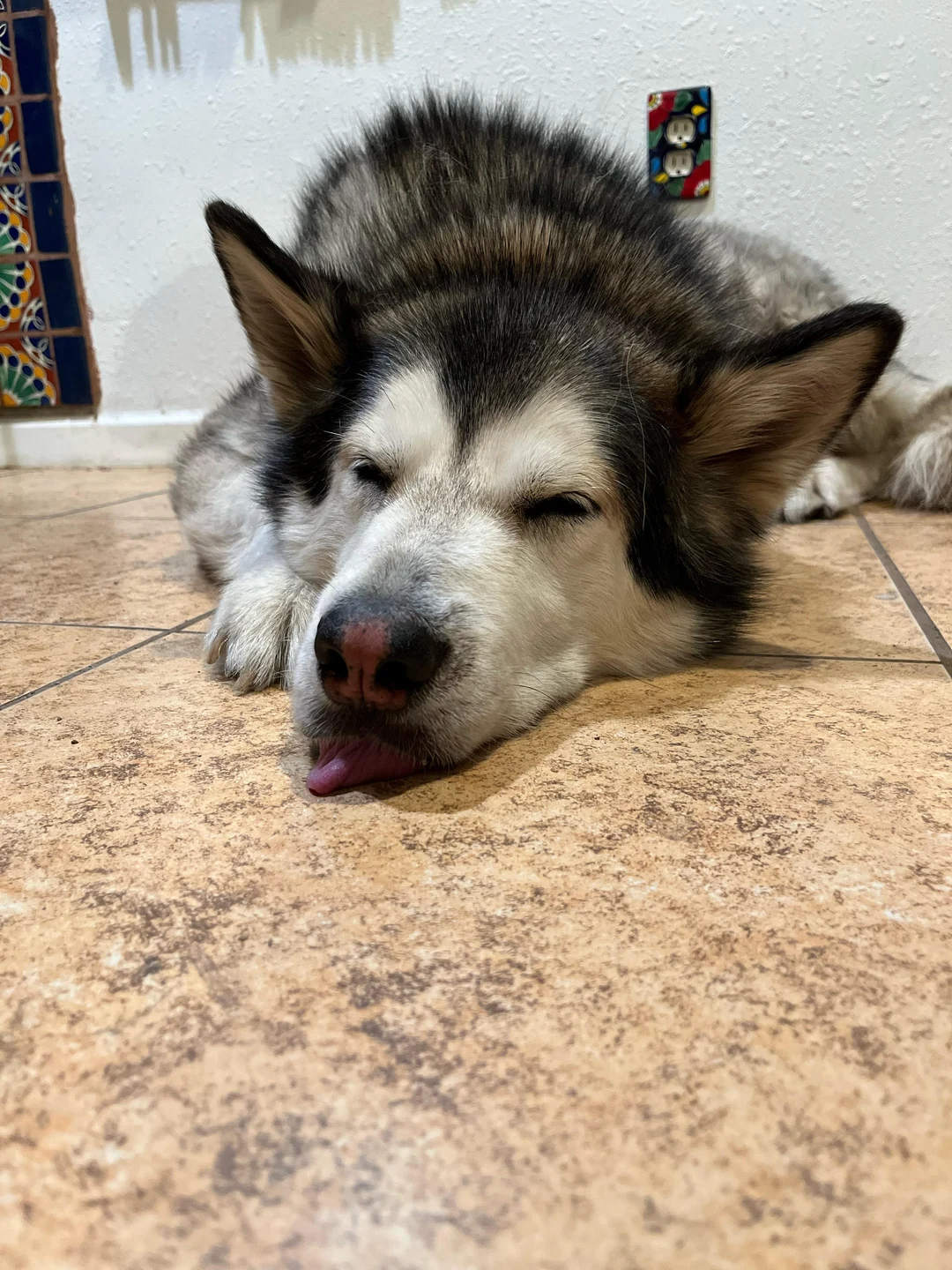 Is this normal? | Scrolller