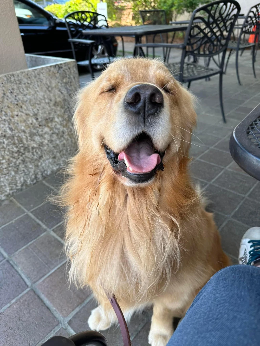 happiness is... | Scrolller