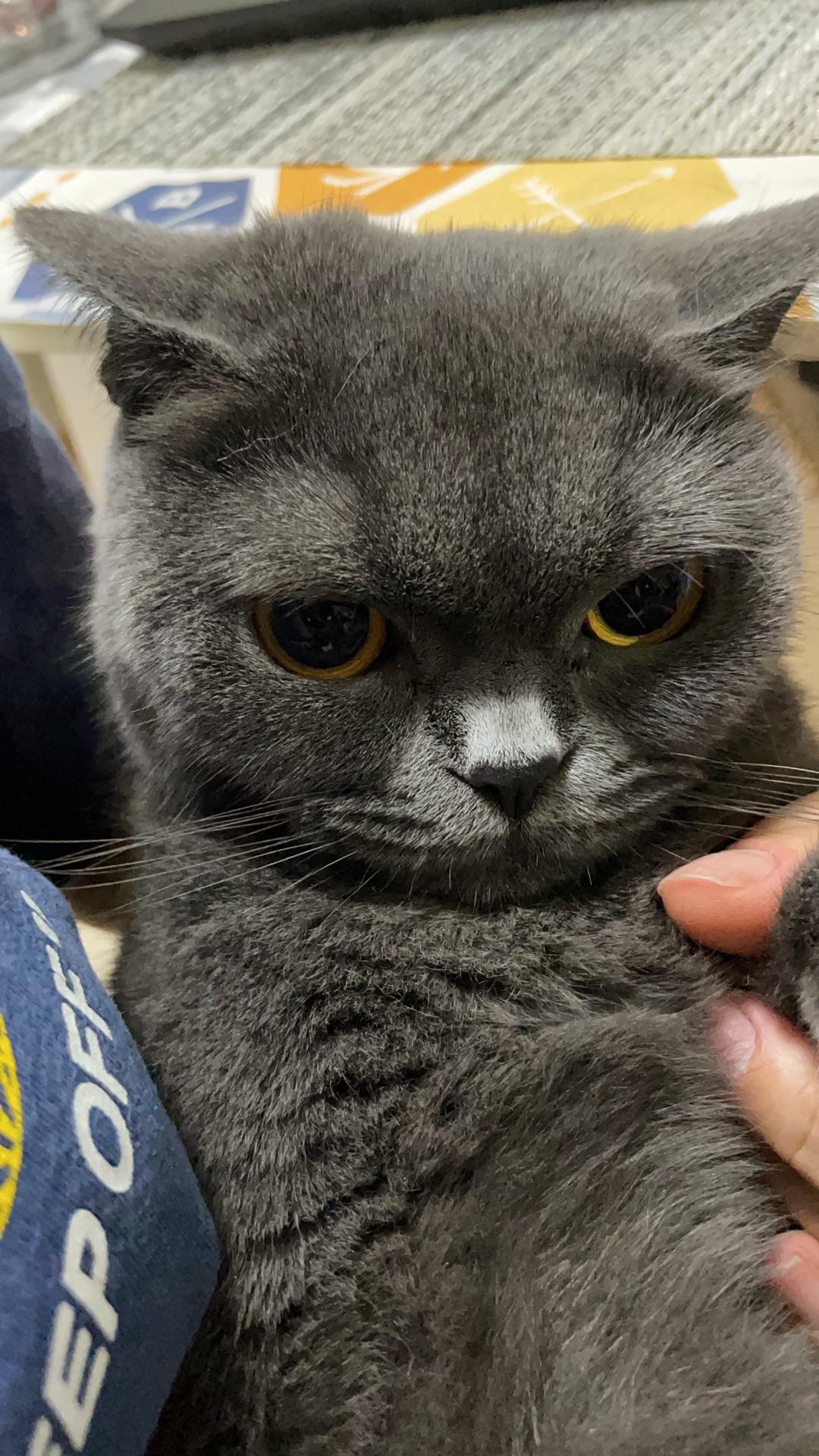 Angry… | Scrolller