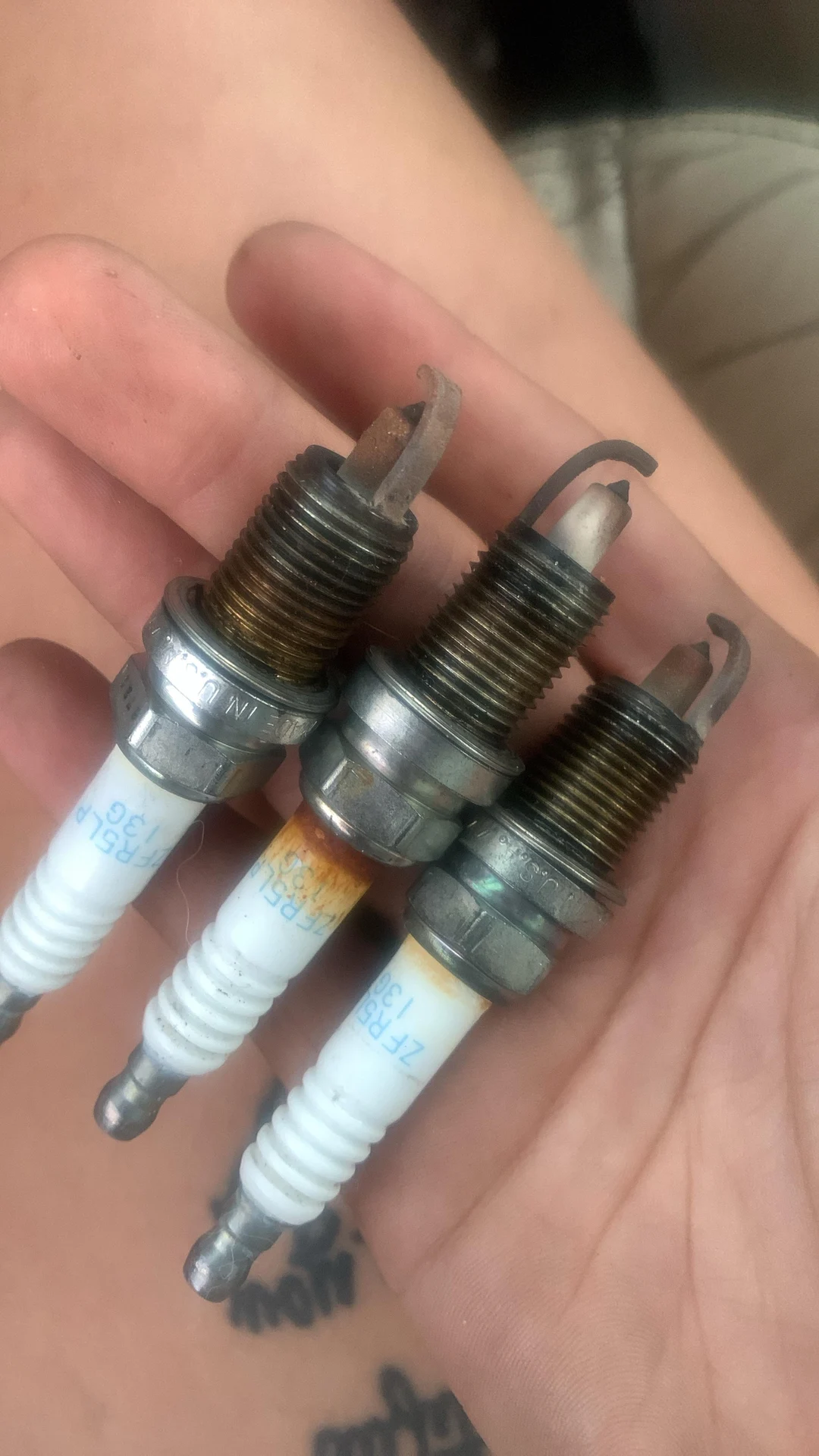 How do they compare ? | Scrolller