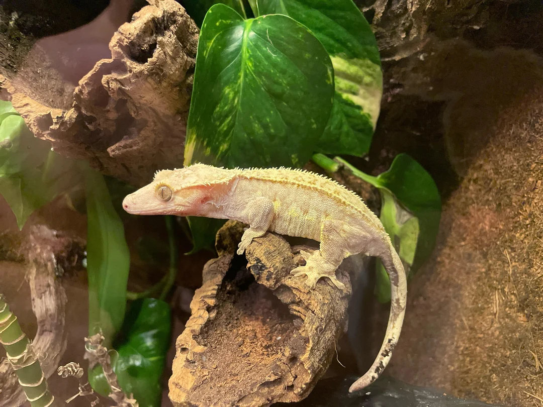 Naming time! | Scrolller