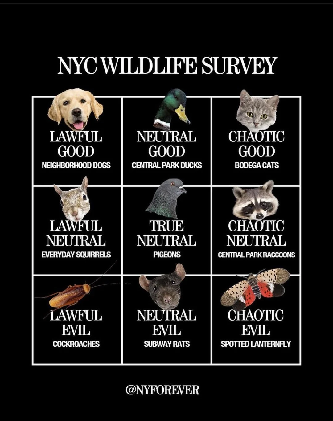 Glad to see they made the grid | Scrolller