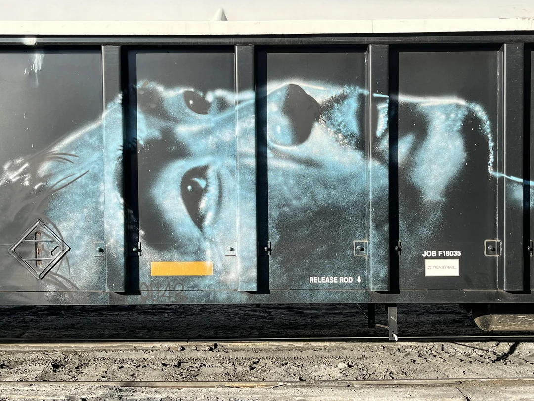 artist unknown | Scrolller