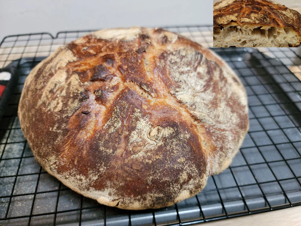 First loaf | Scrolller