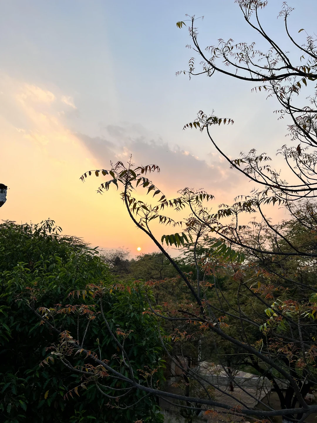 Beautiful Delhi sunsets | Scrolller