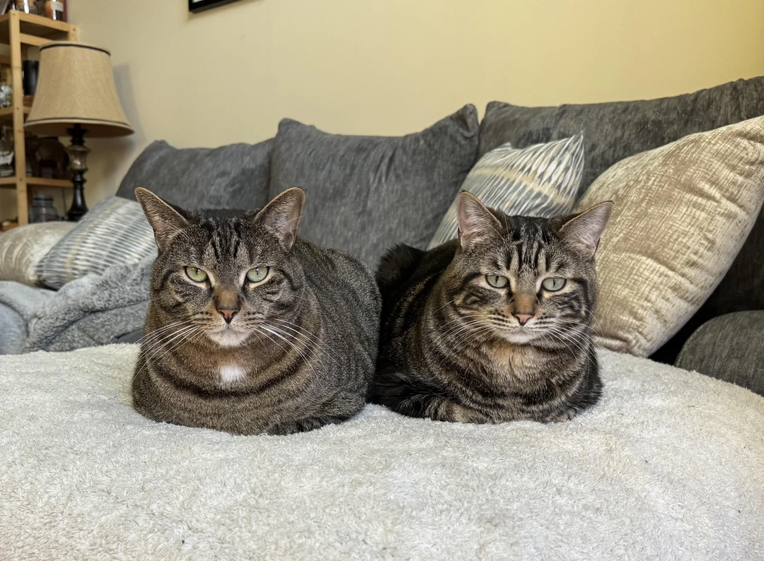 Two loaves > one! | Scrolller
