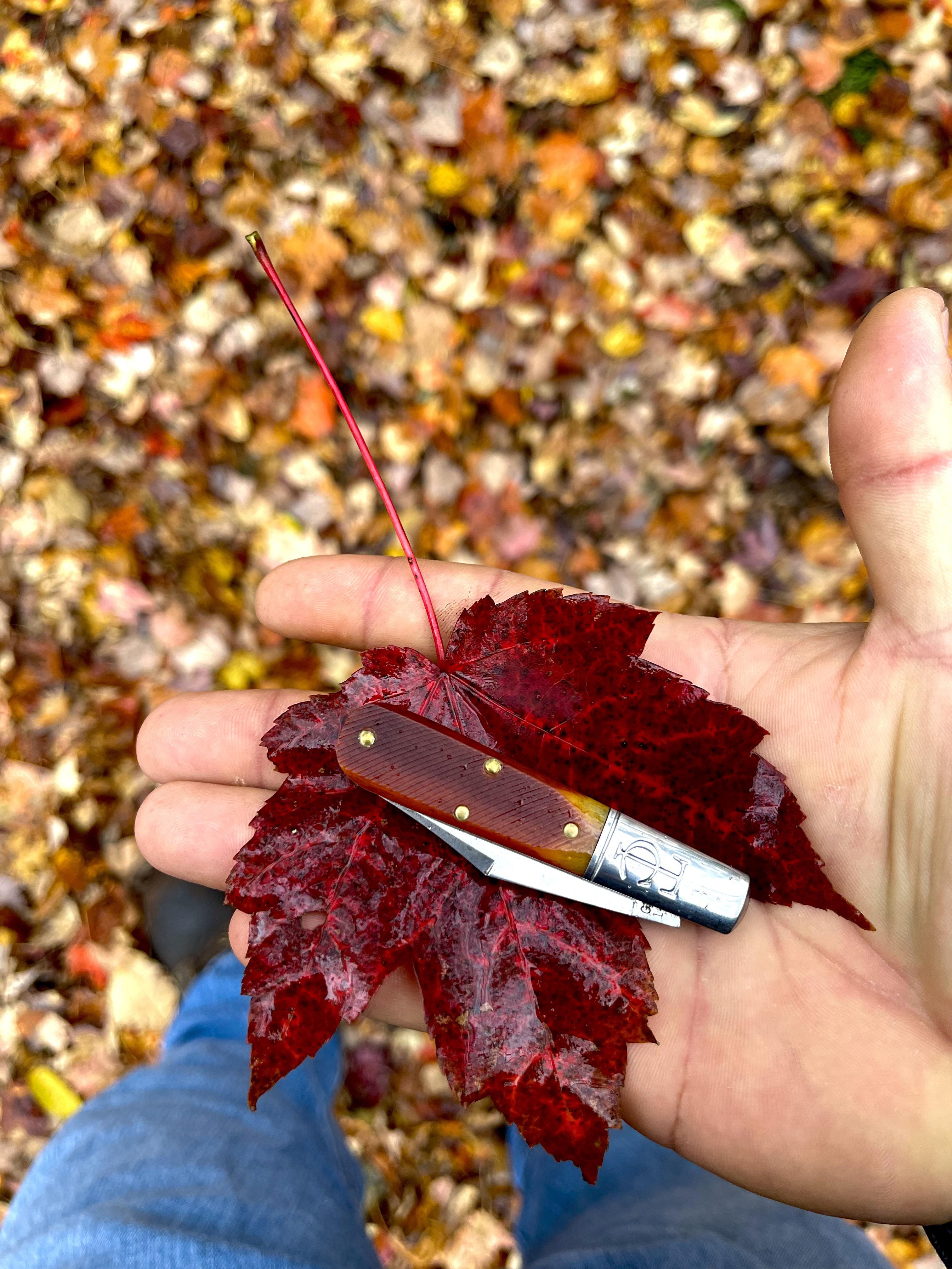 Back to the barlow. | Scrolller