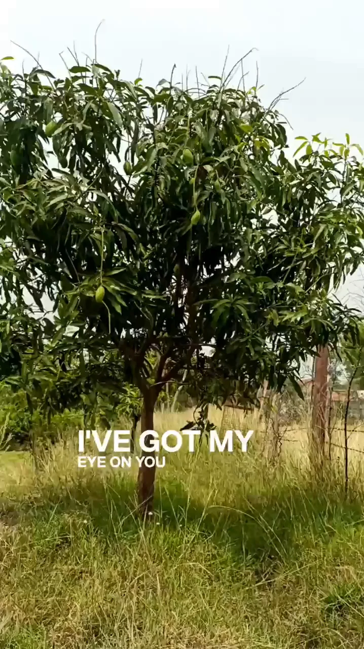 Farm house 🏠 | Scrolller