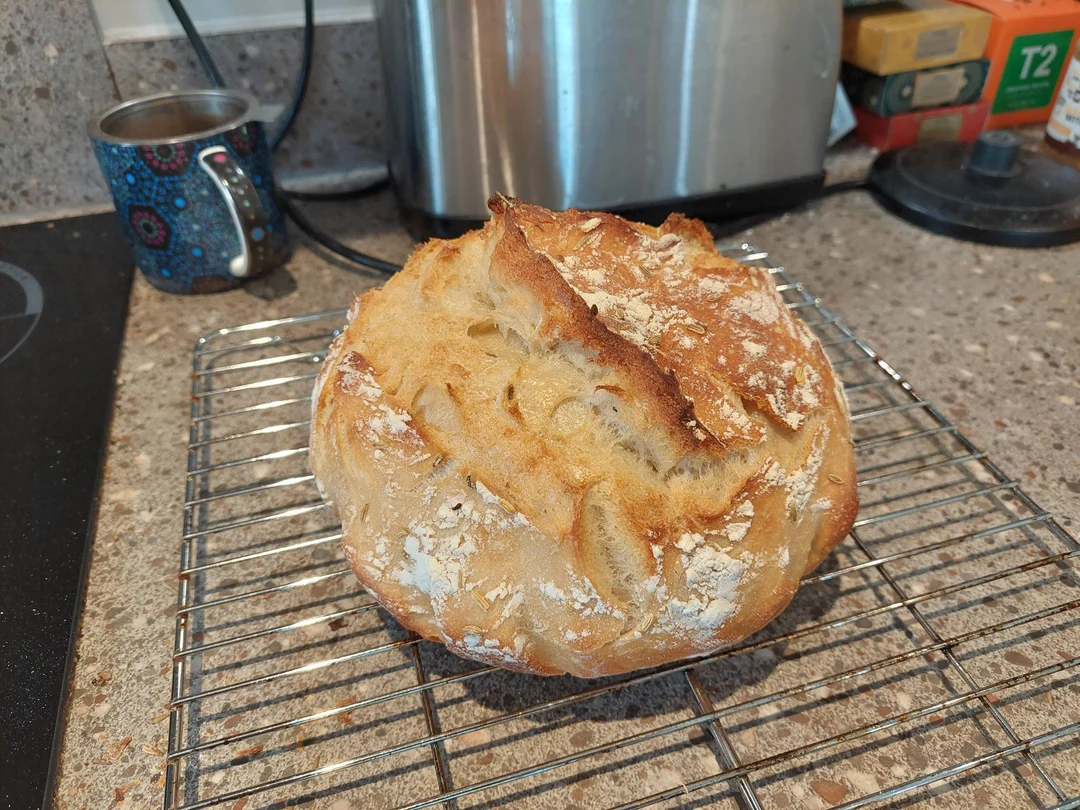 First ever bread. He's beautiful | Scrolller