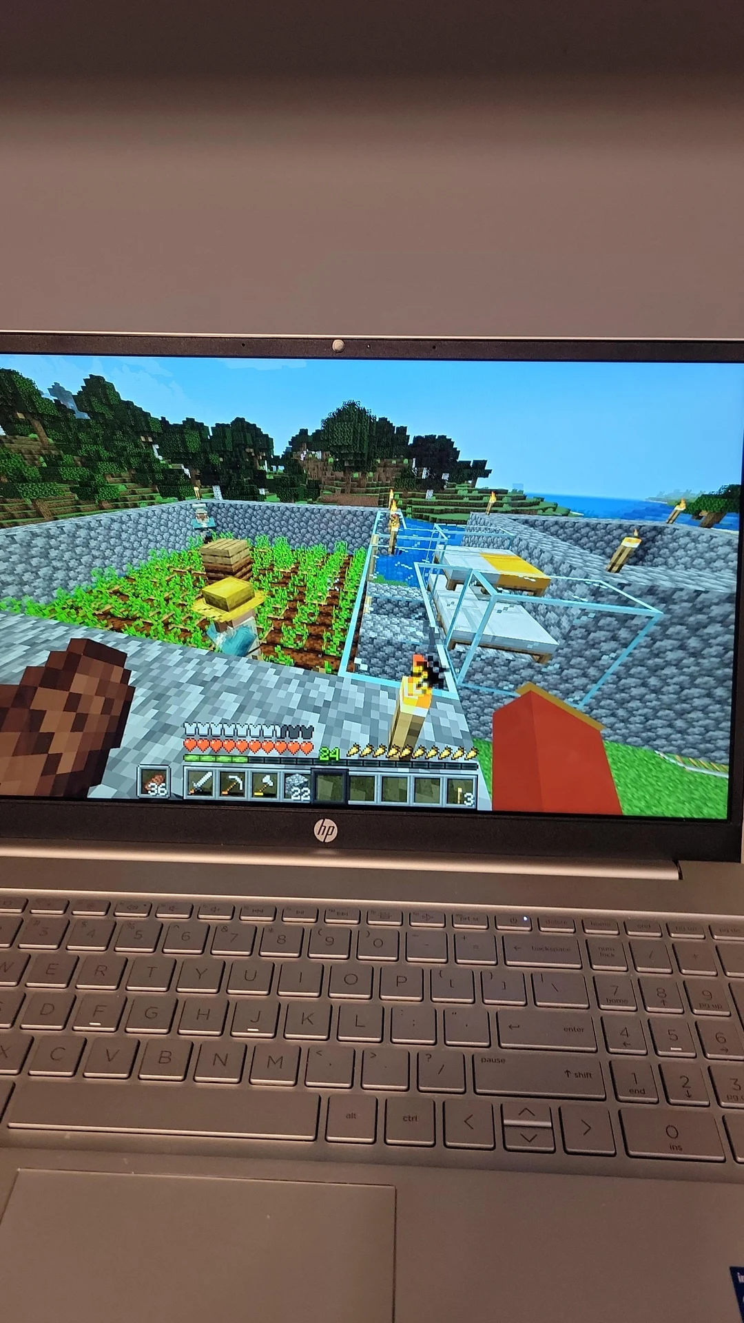 Villager Breeder not Working | Scrolller