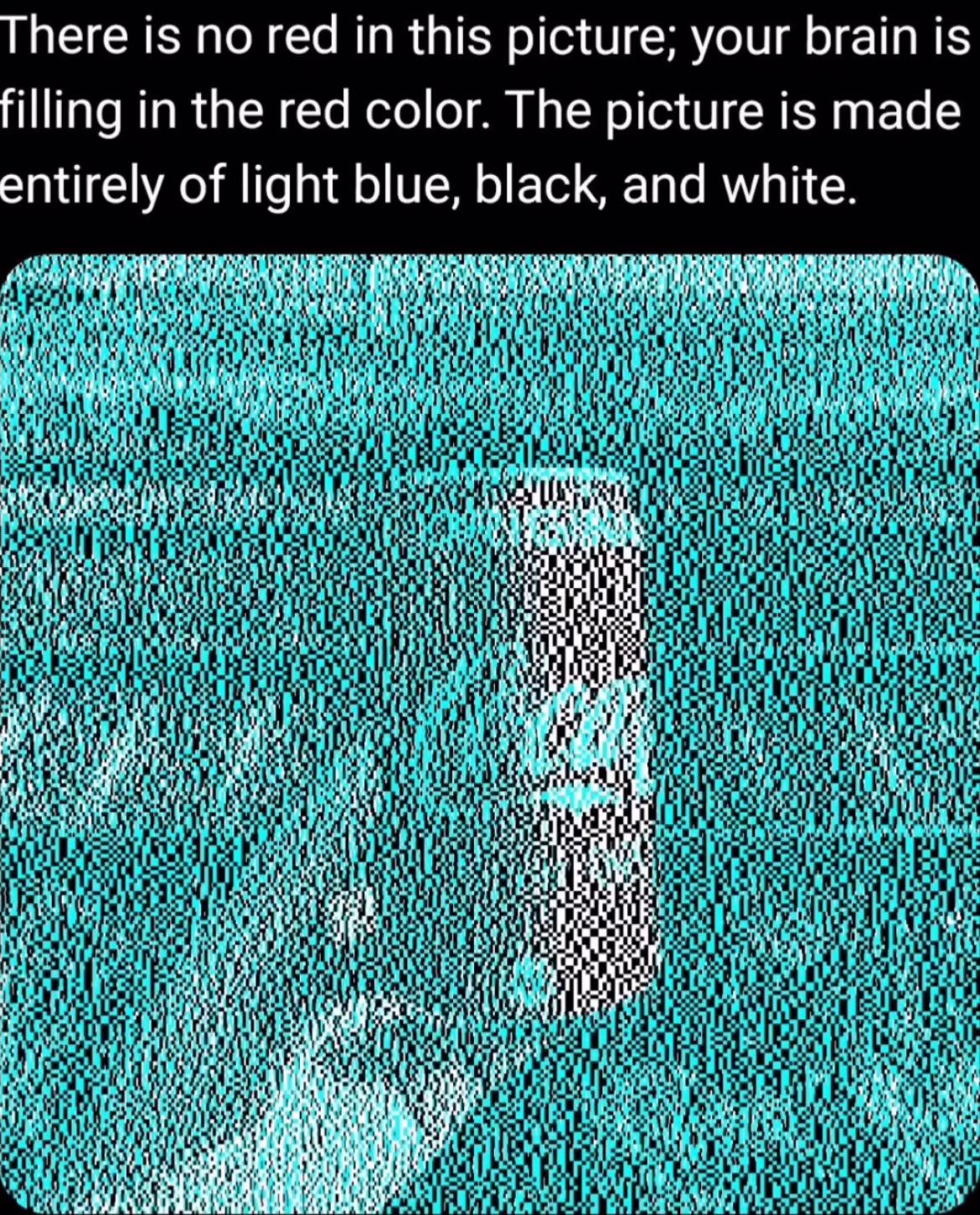 Optical illusion | Scrolller