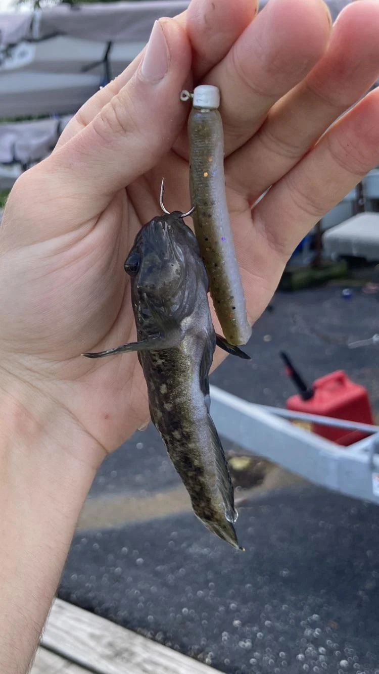 When the hatch eats your match | Scrolller