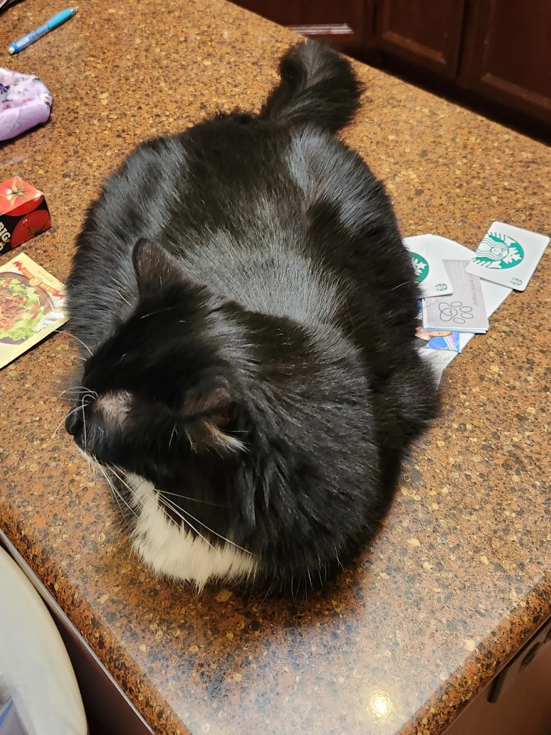 Burnt loaf | Scrolller