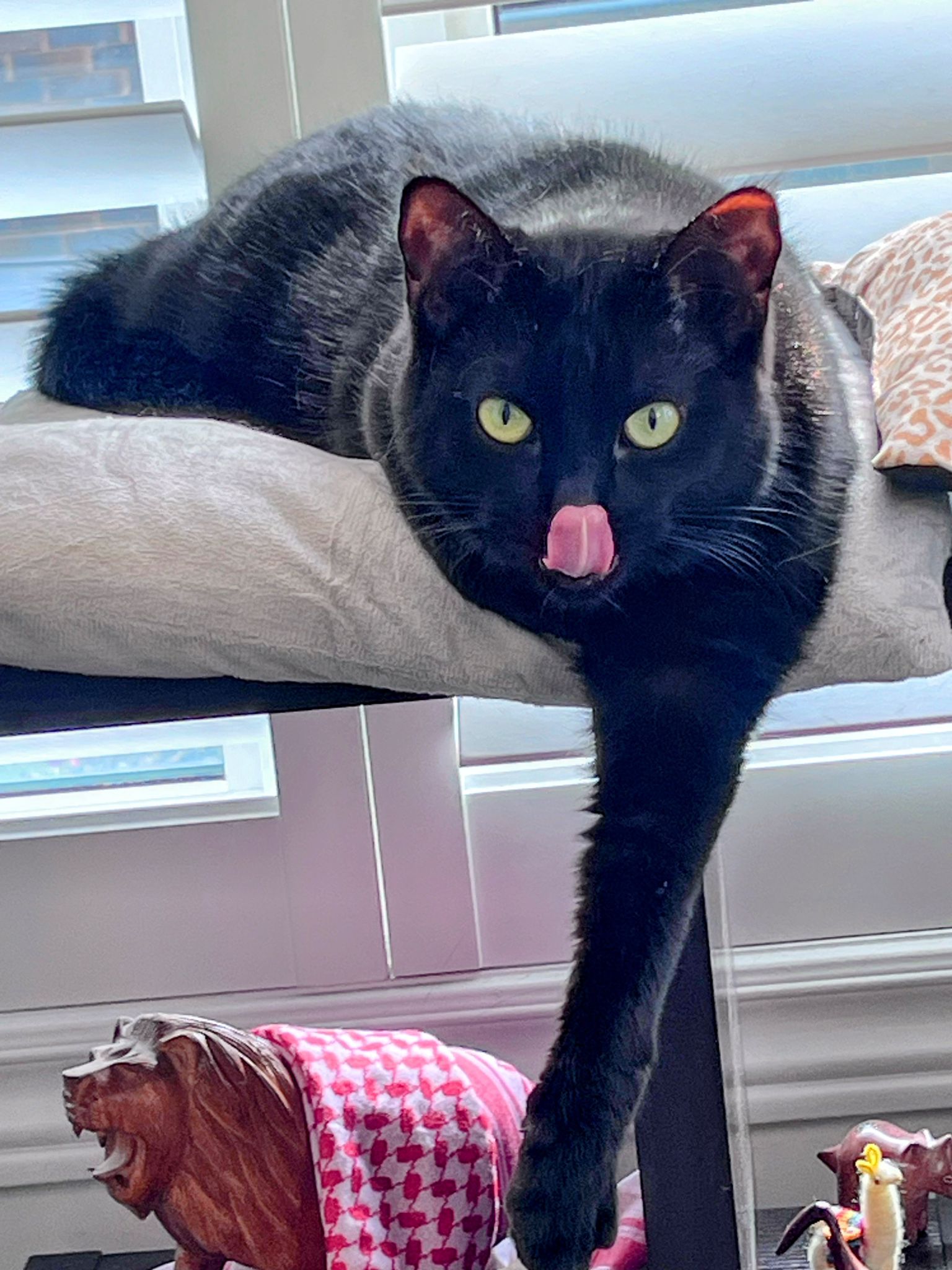 Big bleps | Scrolller
