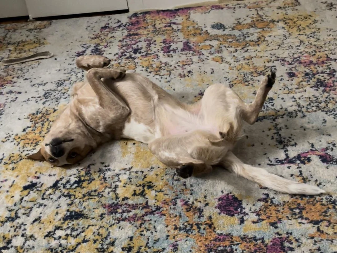 She’s special. | Scrolller