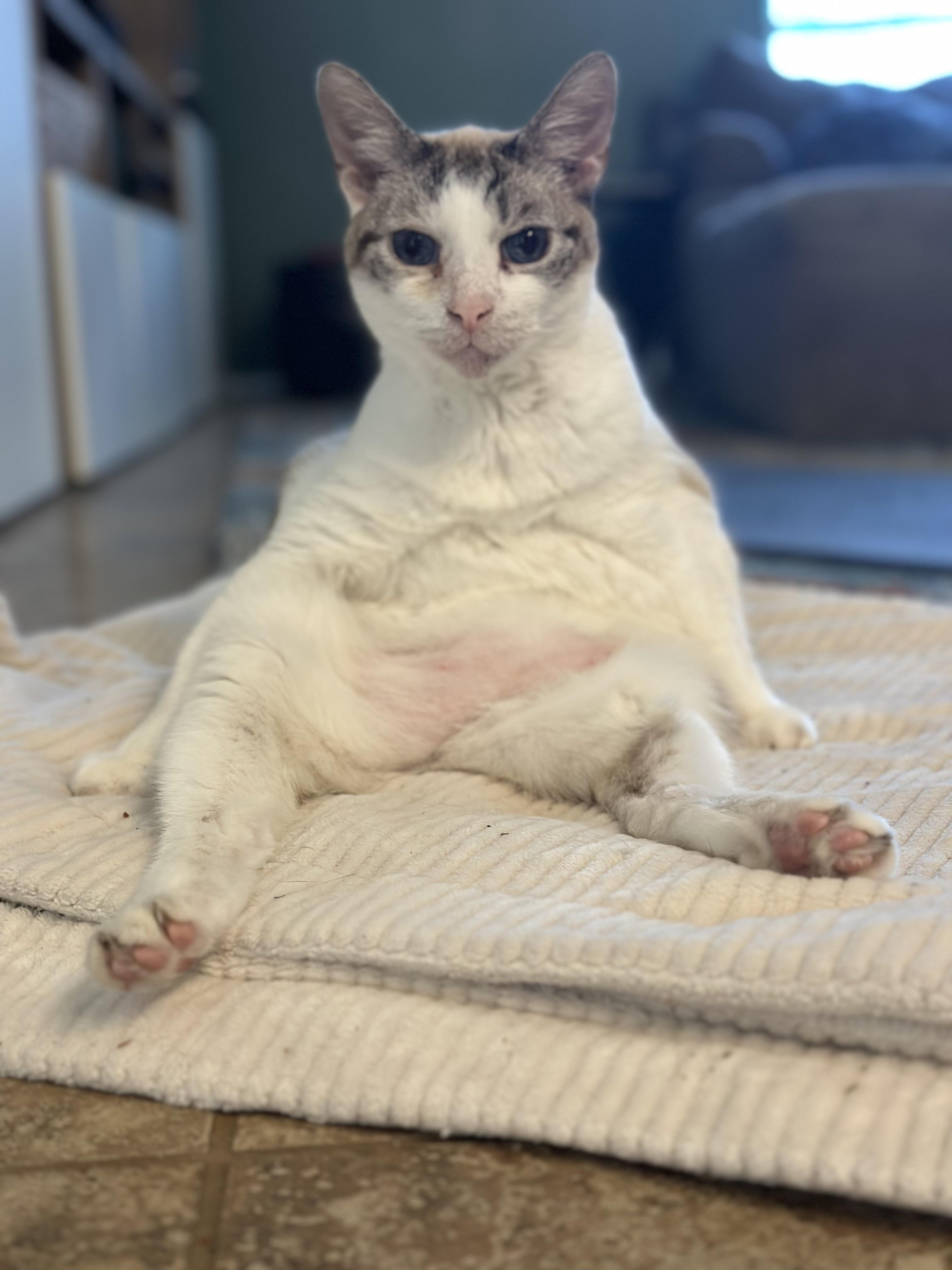 He’s finally revealed his true form | Scrolller