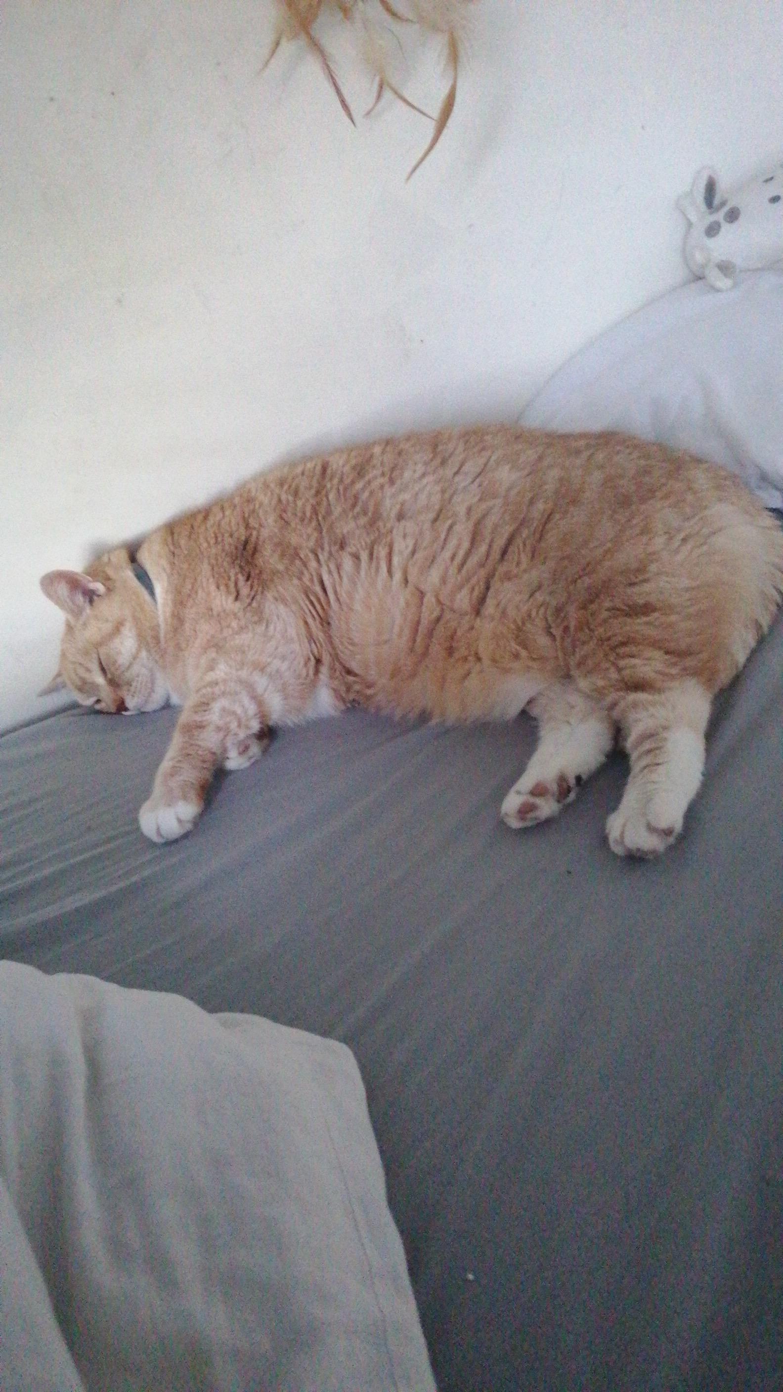 He just sleeping | Scrolller