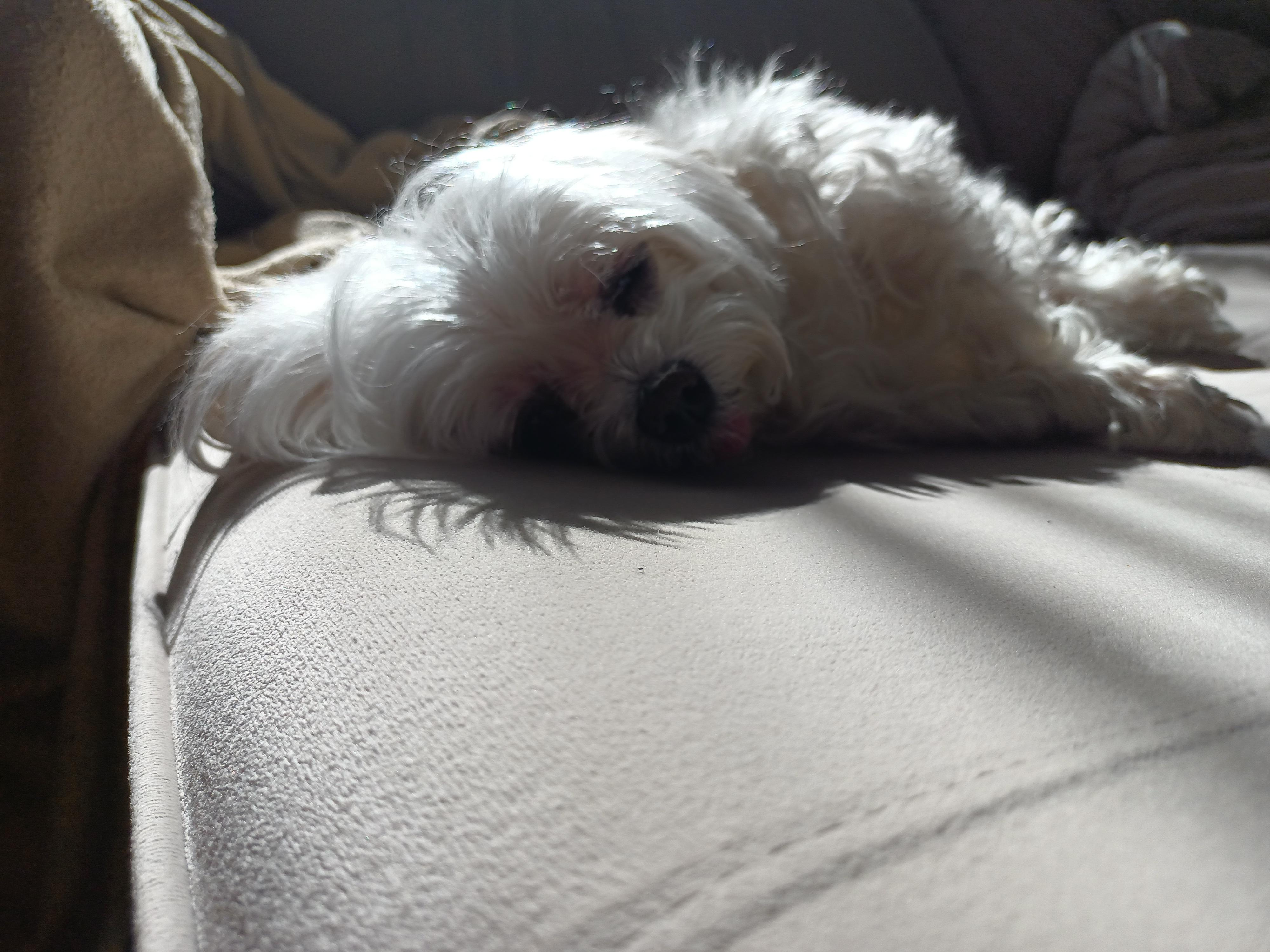 She likes basking in the sunlight | Scrolller