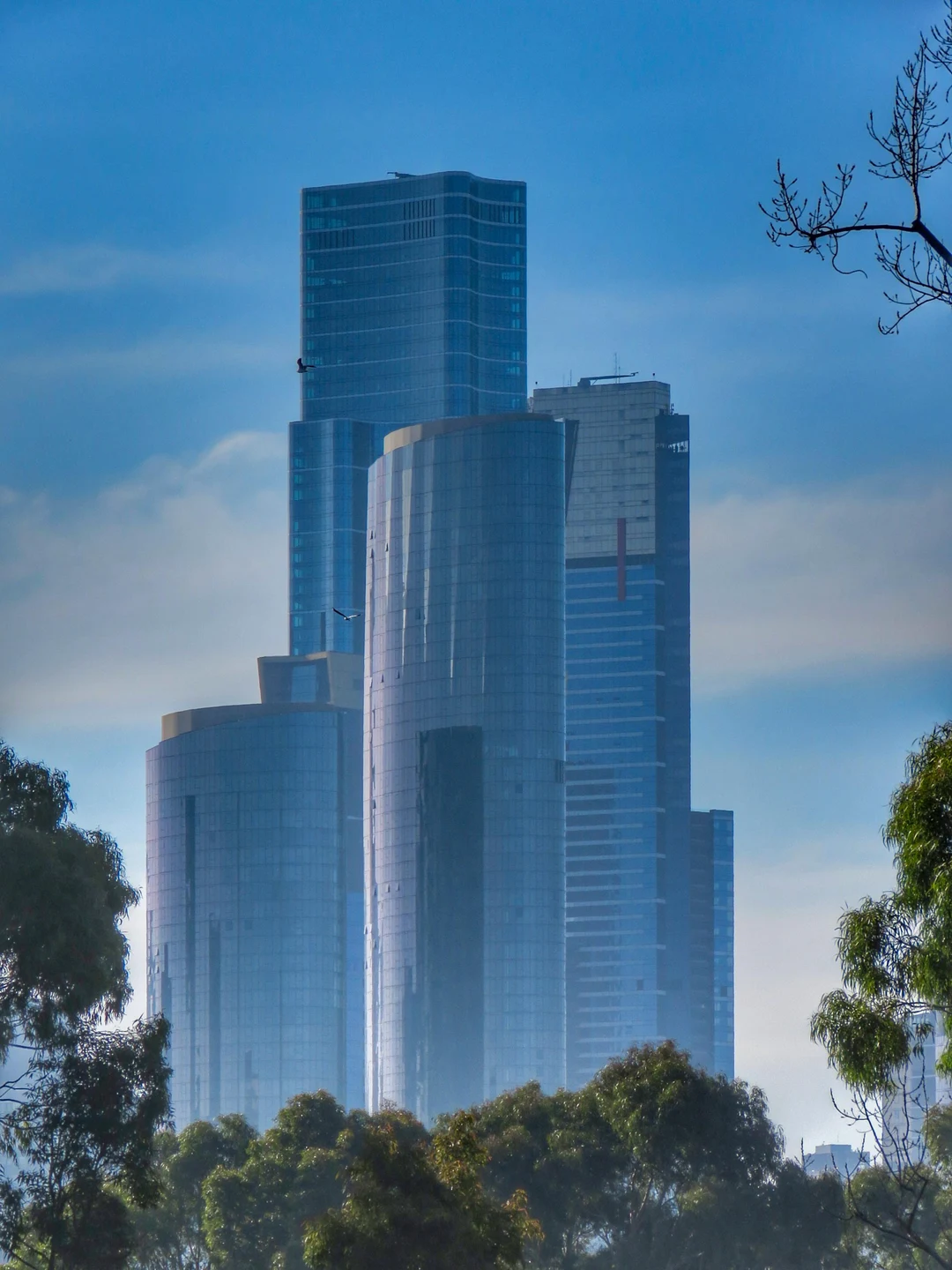 Melbourne skyline taken from Albert Park. It continues to grow upwards | Scrolller