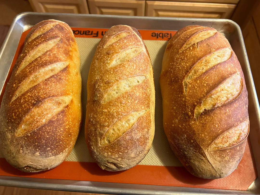 Sourdough | Scrolller