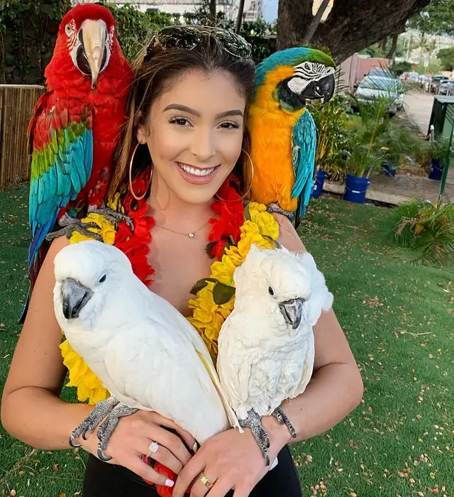 covered in birds | Scrolller