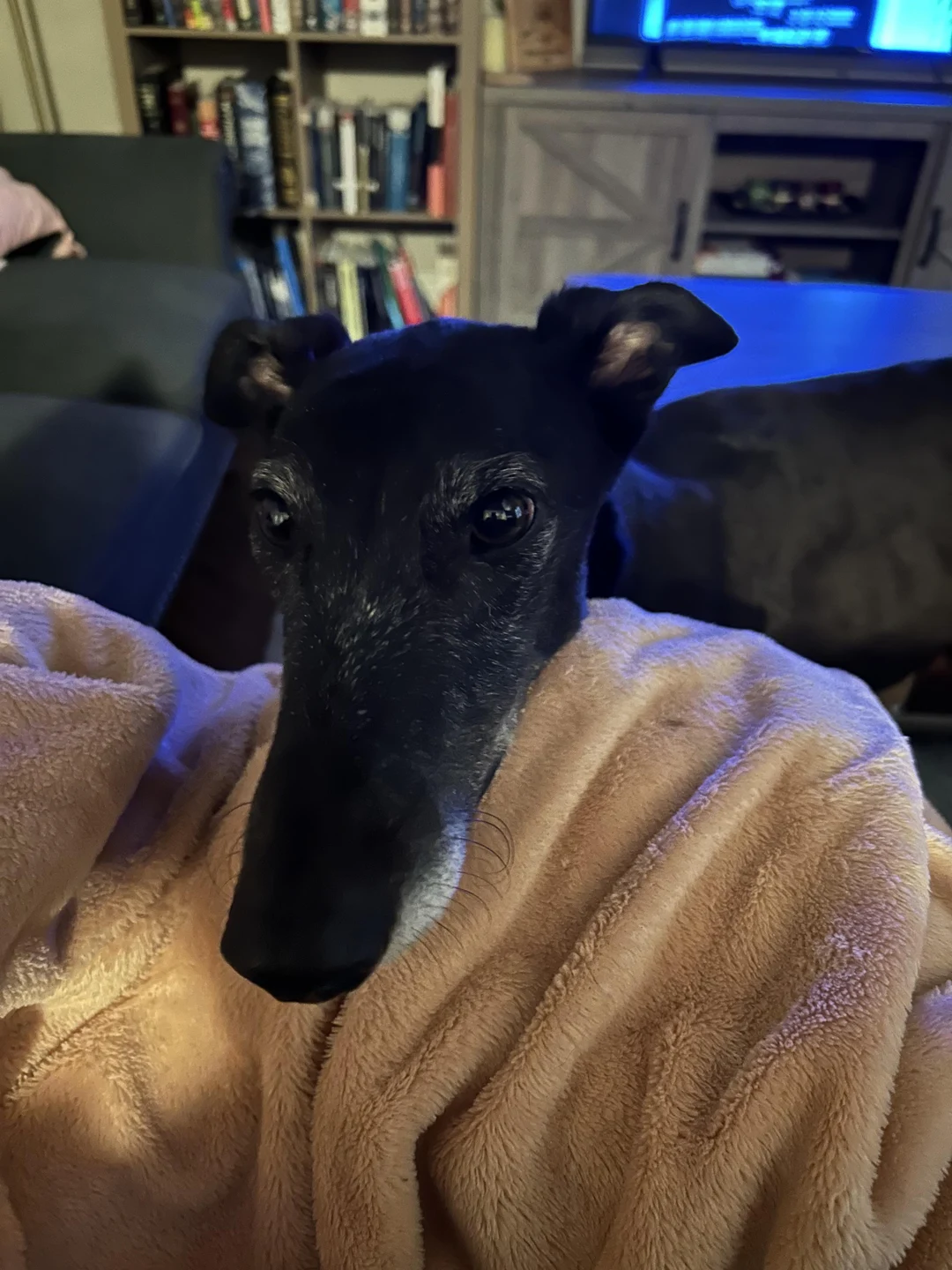 Kyle being a sweet boi | Scrolller