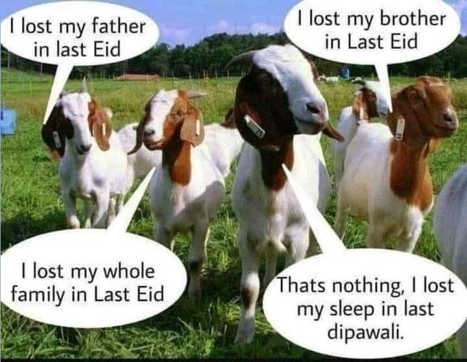 Hypocrisy | Scrolller