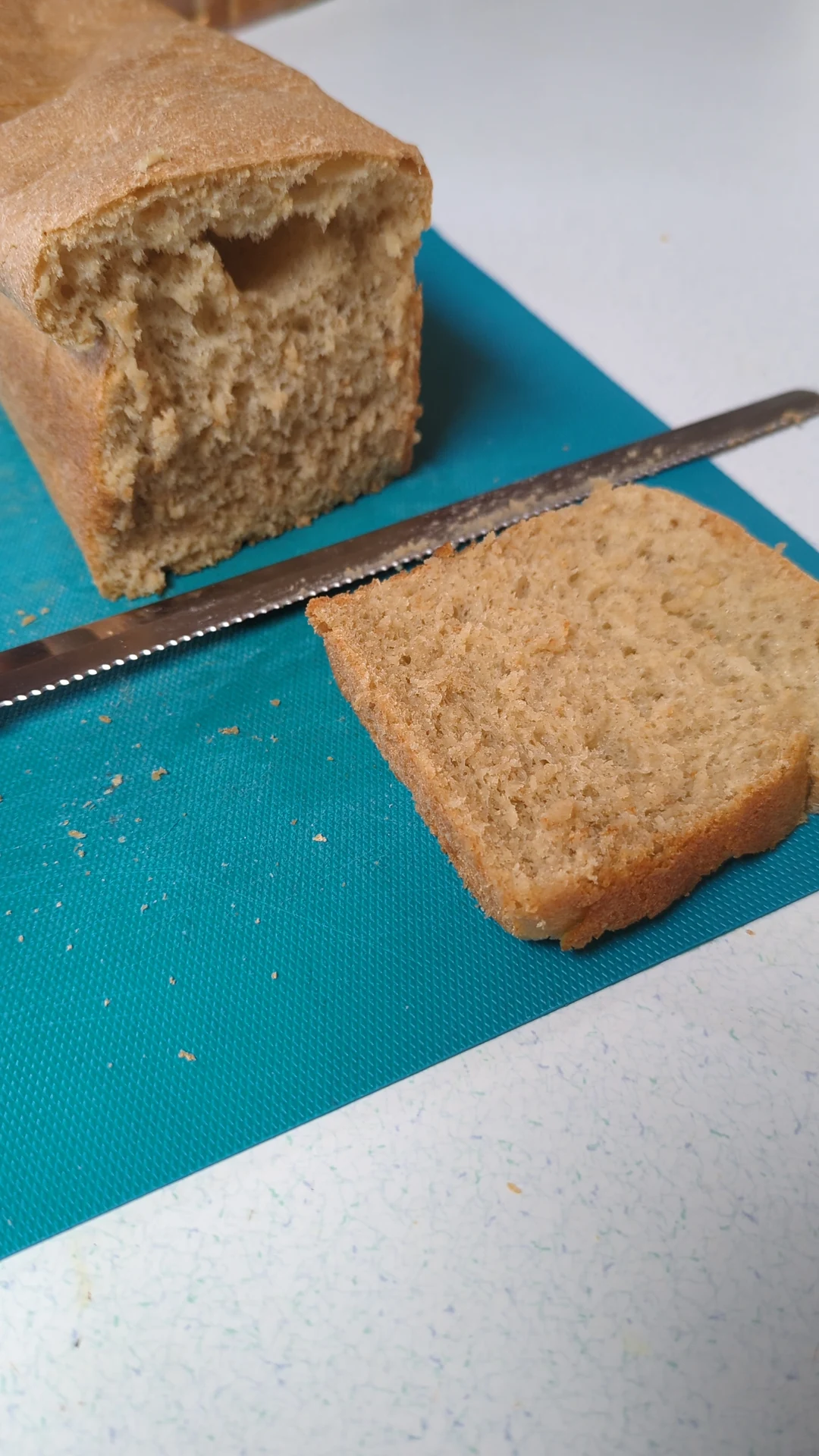 Sprouted wheat bread help | Scrolller