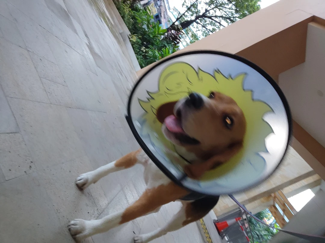 Discover more like WhatsWrongWithYourDog: Hunt Mode activated and Related Content | Scrolller