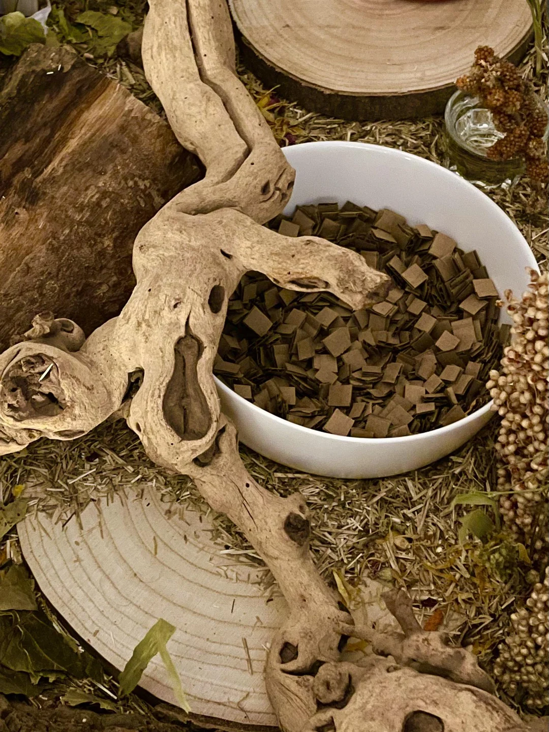 DIY Substrate | Scrolller