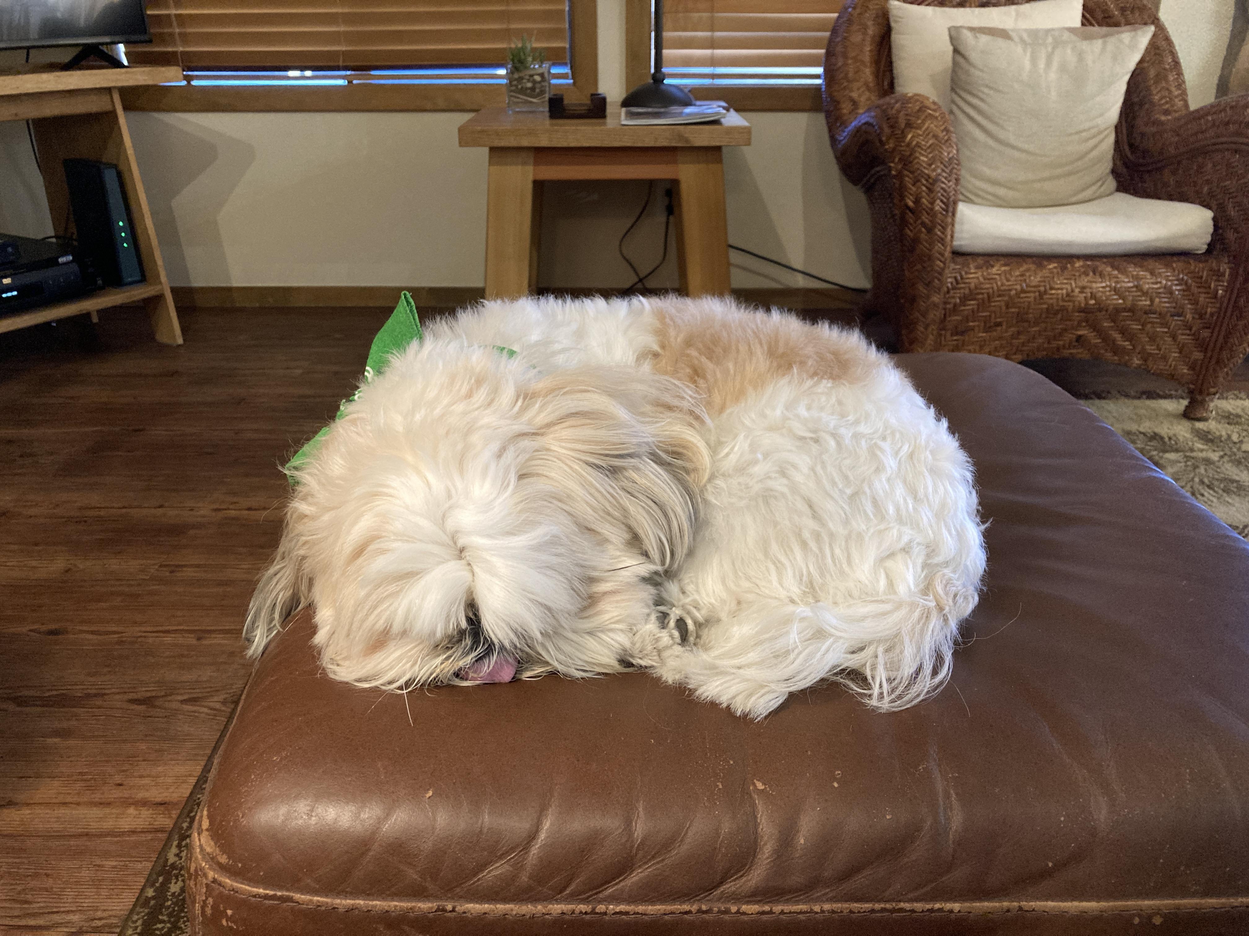 croissant mode | Scrolller