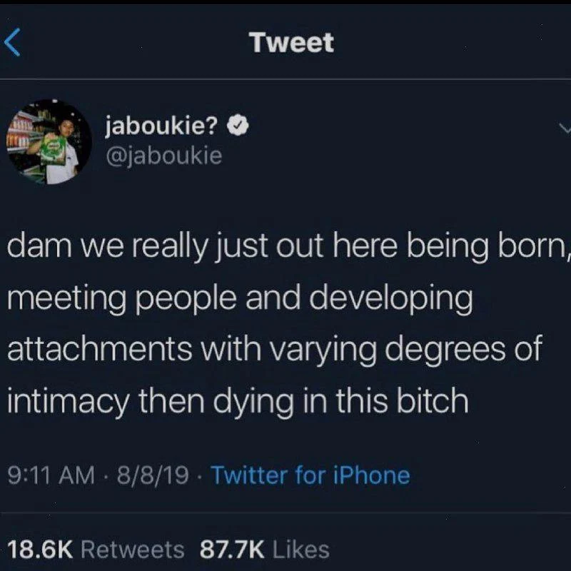 Realization | Scrolller