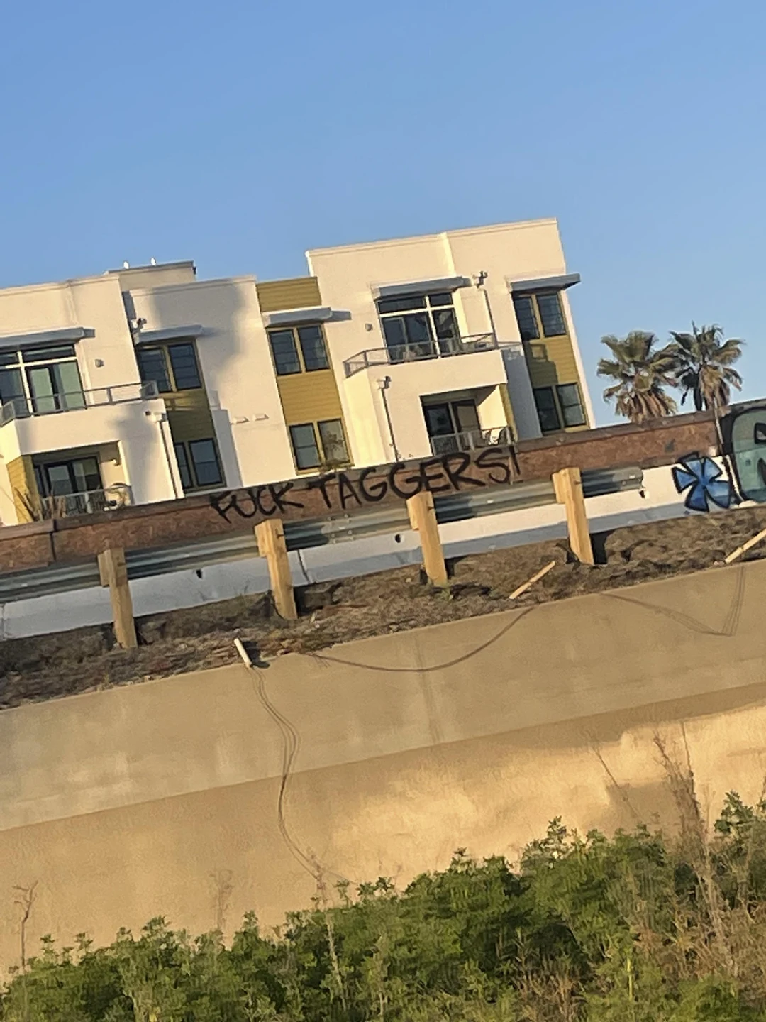 Ventura , California | Scrolller